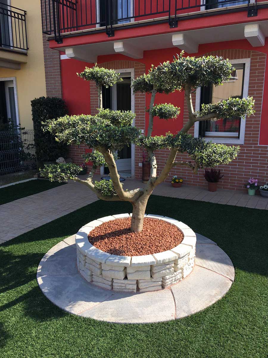 Realizzazioni - Pollice Verde